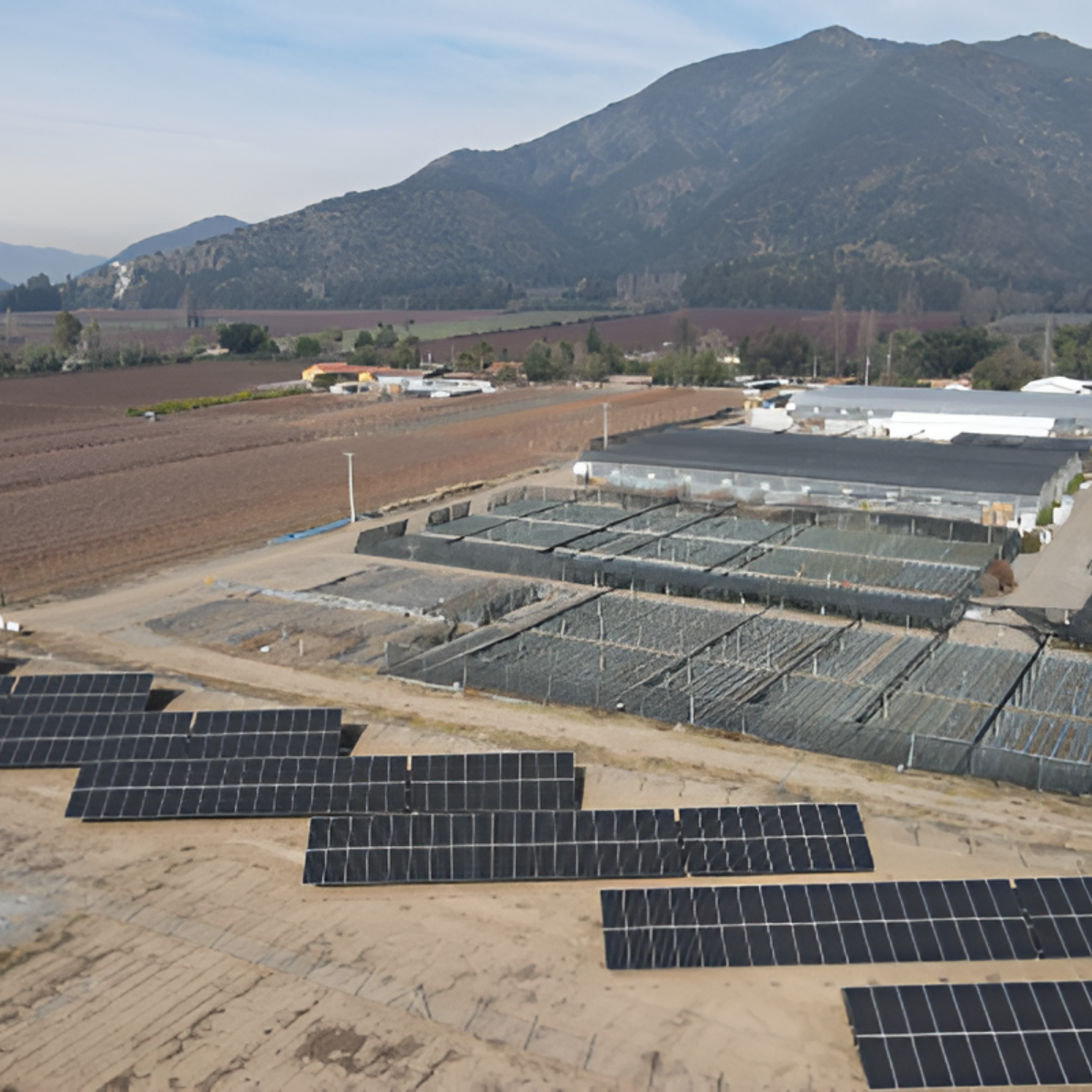 Viveros El Tambo inaugura planta solar de Copec Flux para producir energía